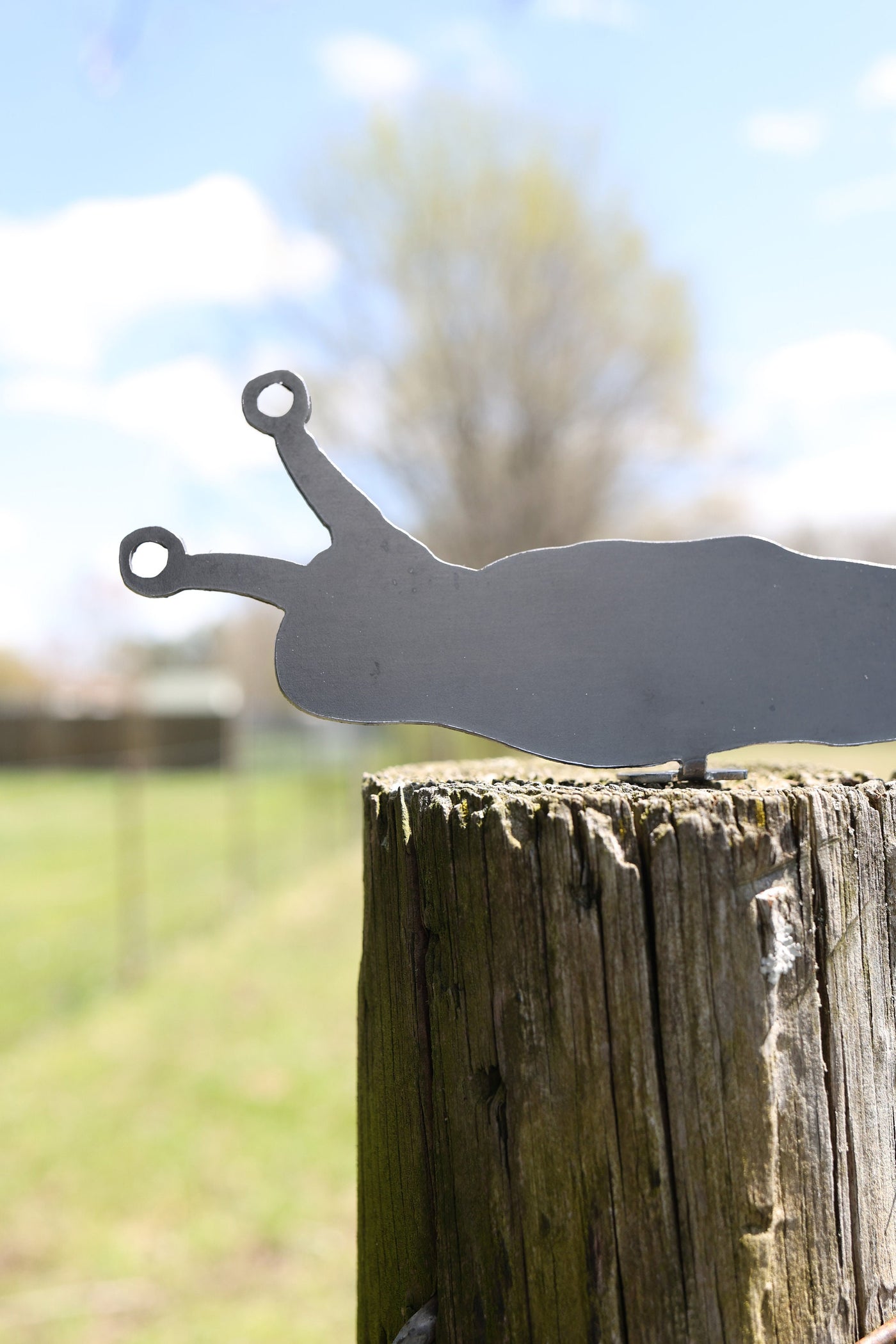 Highland Ridge Decor - Slug Statue